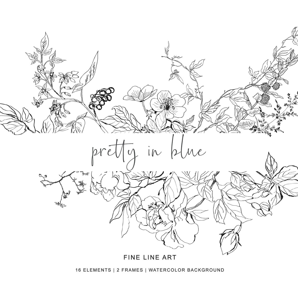 Pretty in Blue, Hand Drawn Fine Line Clipart, Wild Flowers, Sketched ...