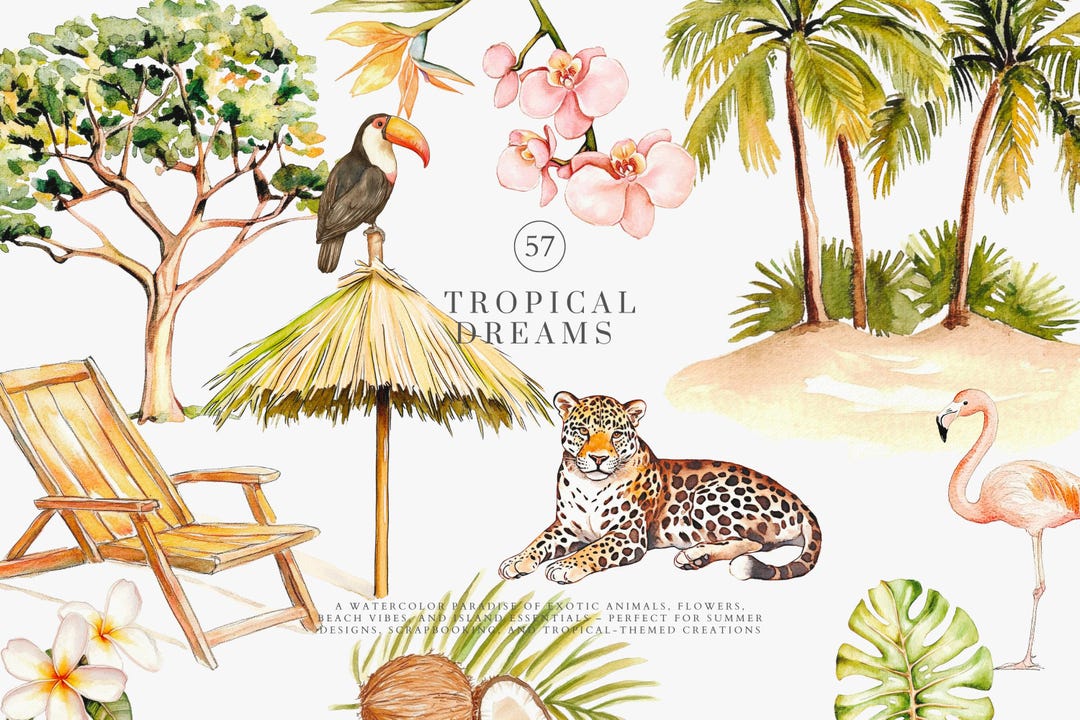 Tropical Beach Watercolor Clipart Png, Seashells Palm Trees Exotic ...