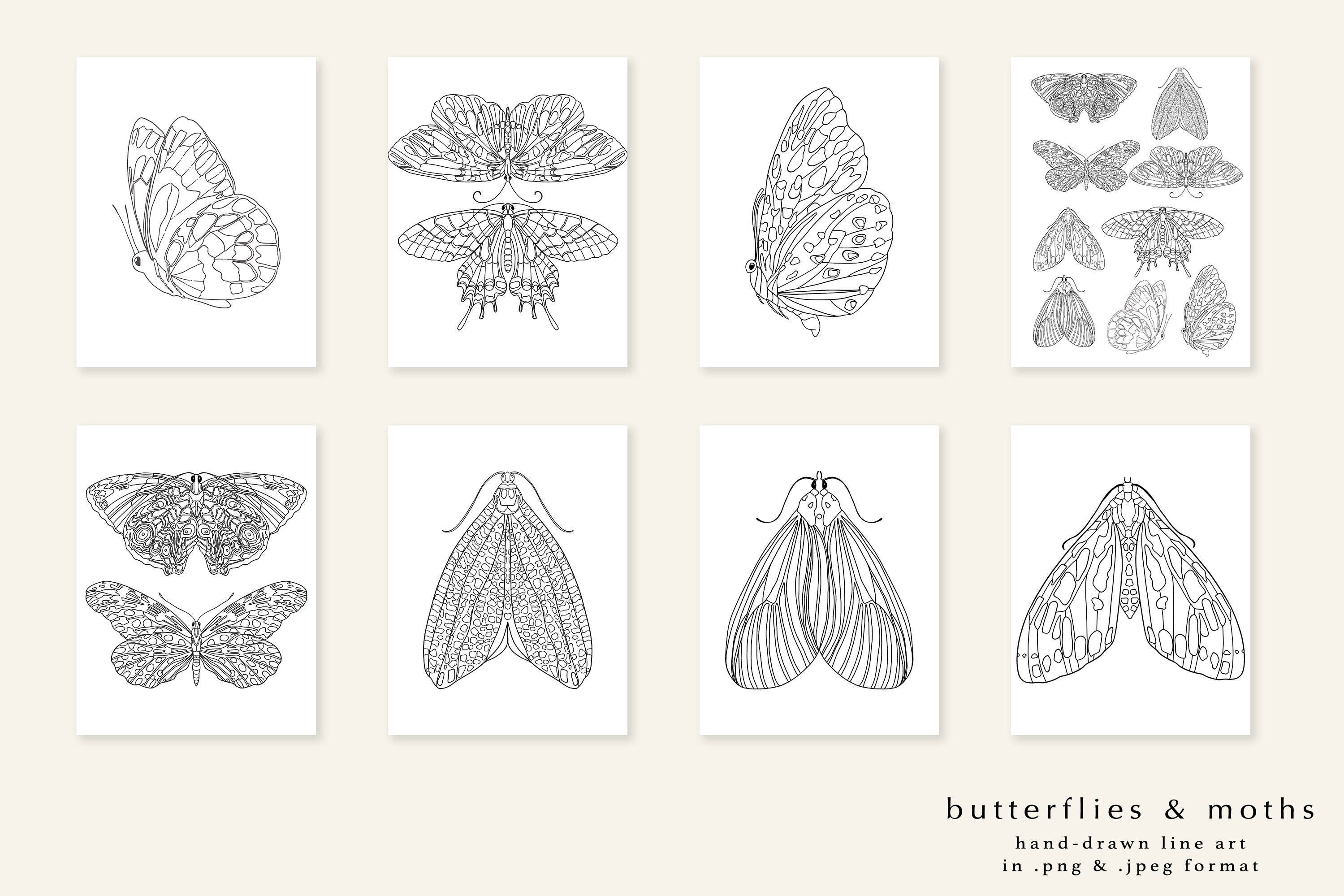 Outline Drawings Of Butterflies