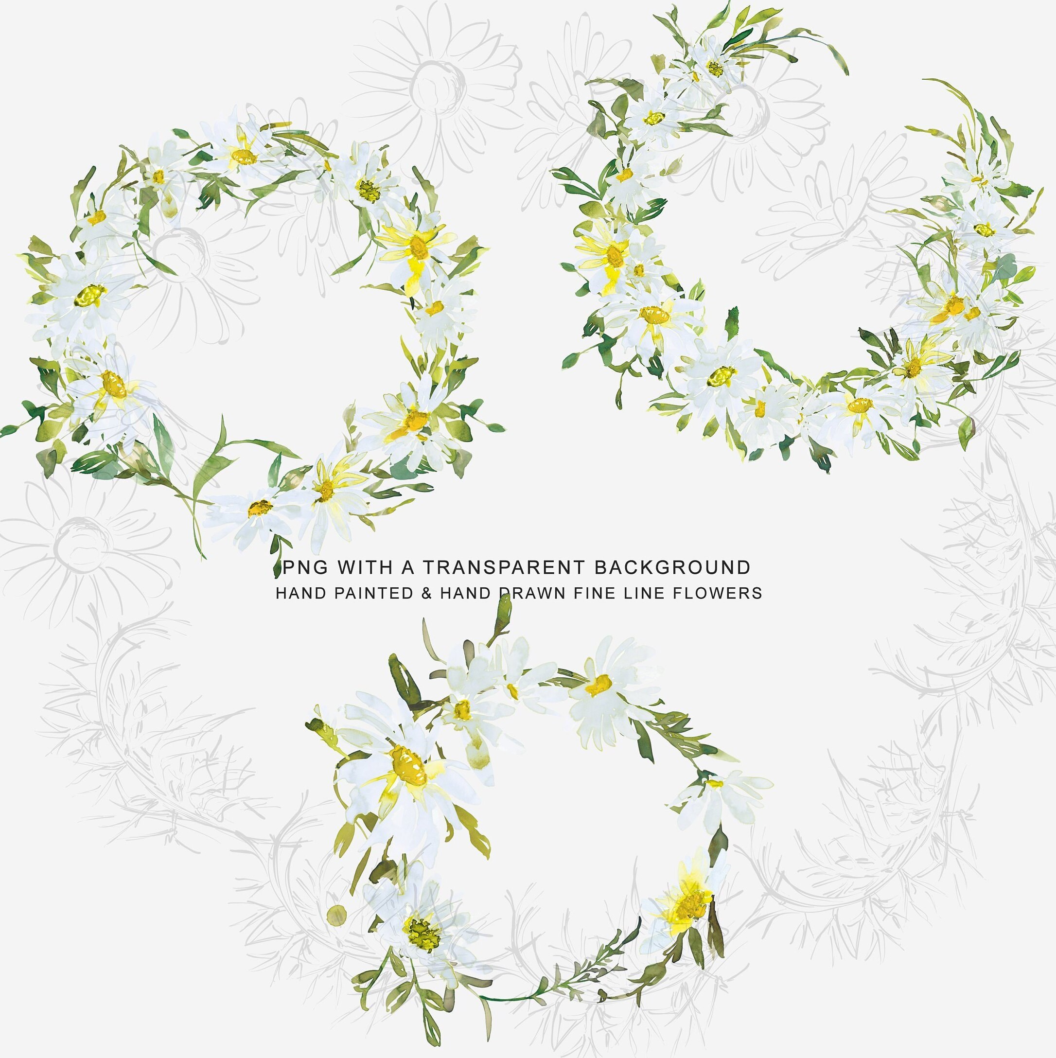 Daisy Clipart - Watercolor Wreath Clipart - Hand Painted Daisy Wreath ...