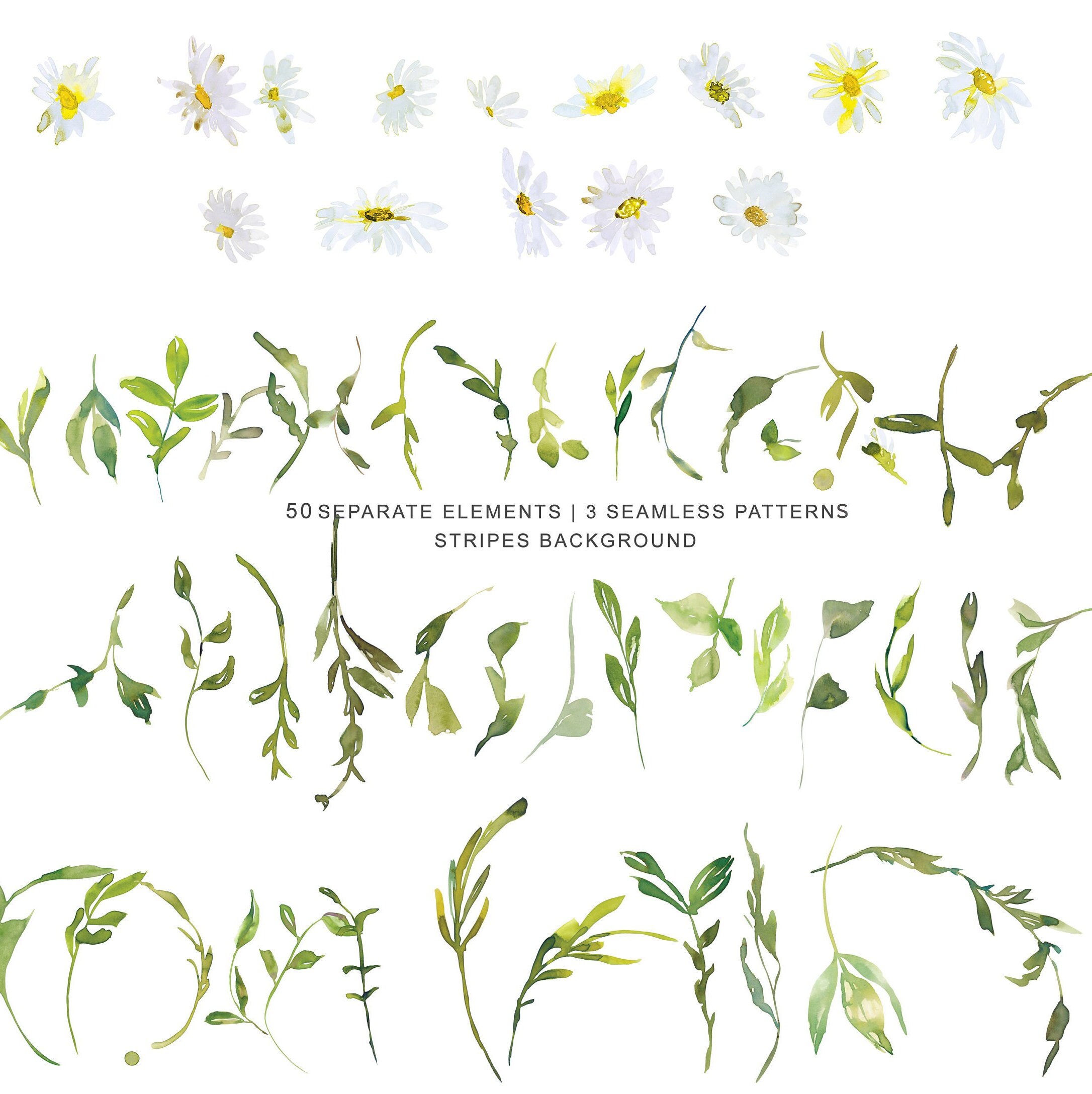Daisy Clipart - Watercolor Daisy Clip Art - Seamless Patterns - Summer ...