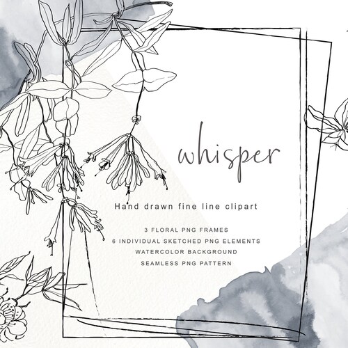 Whisper Fine Art Watercolour Flower Fine Hand-drawn Line - Etsy