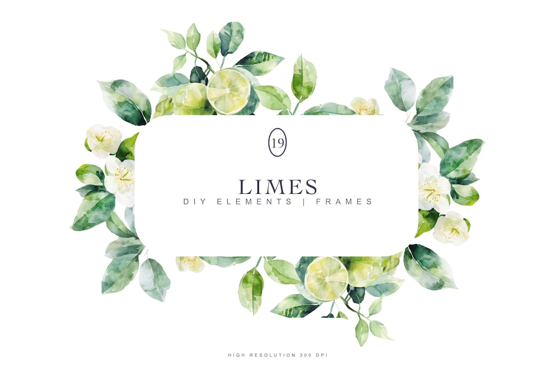Watercolor Limes Clipart - Watercolor Limes Bouquet - Limes Png - Lime Twig - Summer Frame ...