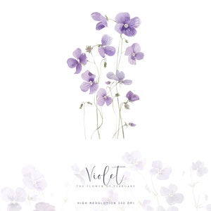 Watercolor Violet Clipart February Birth Flower Planner Calendar Design ...