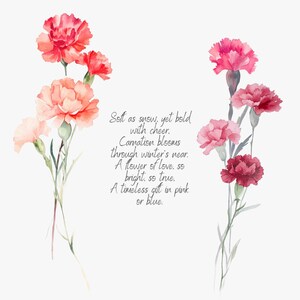 Carnation Clipart Png, Watercolor Red Pink Flowers, Floral Bouquet ...