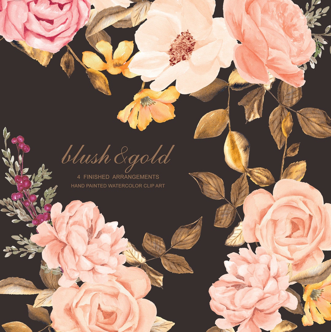 Blush and Gold Flower Clipart Watercolor Blush Pink Roses - Etsy