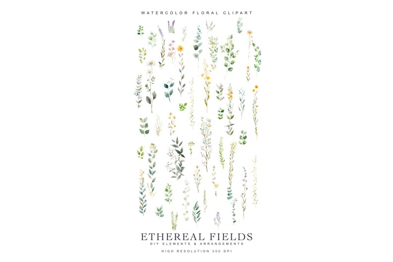 Wild Flowers - Floral Clipart - Pastel Meadow Flowers - DIY Elements ...
