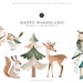 Watercolor Woodland Animal Clipart Bundle, Nursery Clipart, Fox Png ...