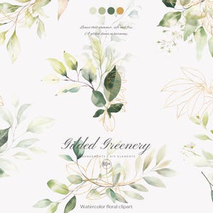 Eucalyptus Leaves - Watercolor Greenery - Botanical Clipart - Foliage ...