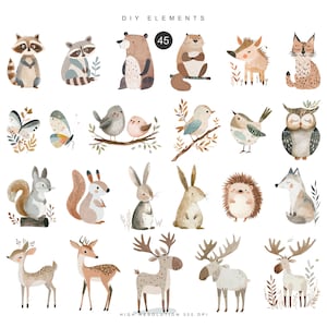 Watercolor Woodland Animal Clipart Bundle, Nursery Clipart, Fox Png ...