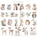 Watercolor Woodland Animal Clipart Bundle, Nursery Clipart, Fox Png ...