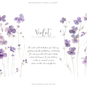 Watercolor Violet Clipart February Birth Flower Planner Calendar Design ...