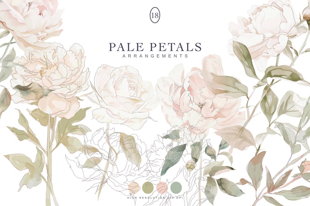 Watercolor Pale Flowers Clipart - White Peony - Wedding Clipart ...