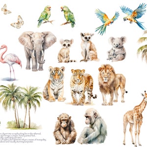 Watercolor Jungle Wildlife Clipart - Watercolor Clipart - Jungle ...