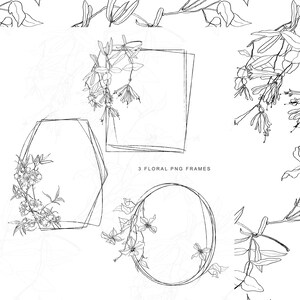 Hand Drawn Fine Line Clipart, Wild Flower Clipart, Separate Elements ...