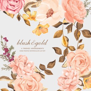 Blush and Gold Flower Clipart Watercolor Blush Pink Roses - Etsy