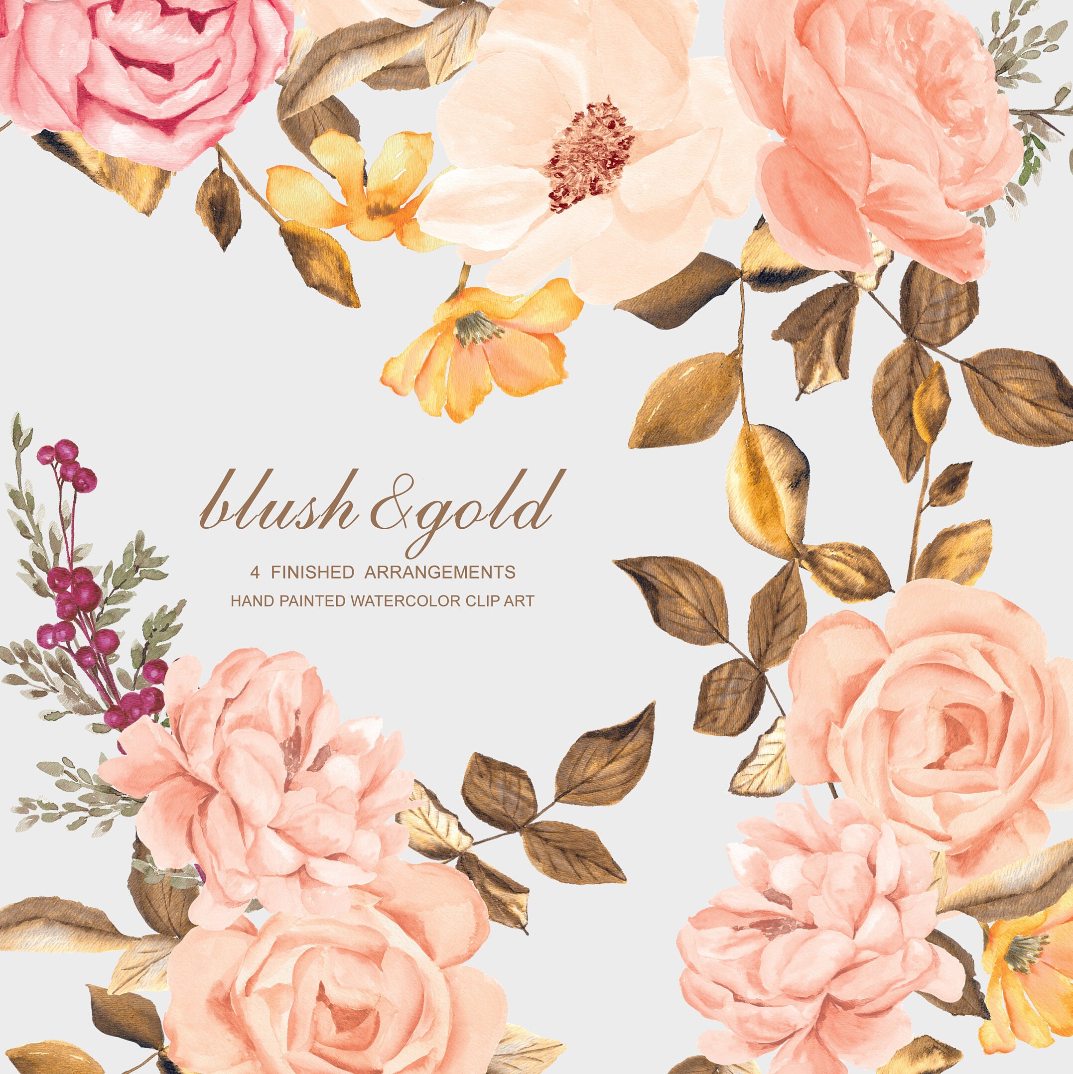 Blush and Gold Flower Clipart Watercolor Blush Pink Roses - Etsy