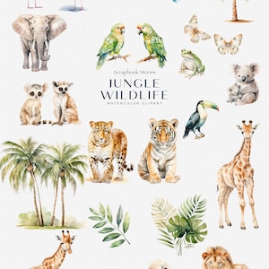Watercolor Jungle Wildlife Clipart - Watercolor Clipart - Jungle ...