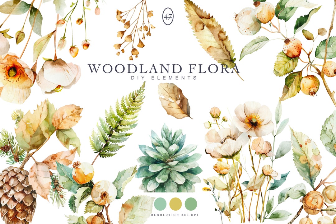 Watercolor Woodland Floral Clipart - Fall Foliage - Pine Cone - Autumn ...