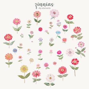 Colorful Zinnias - Watercolor Flowers - Floral Designs - Zinnia Clipart ...