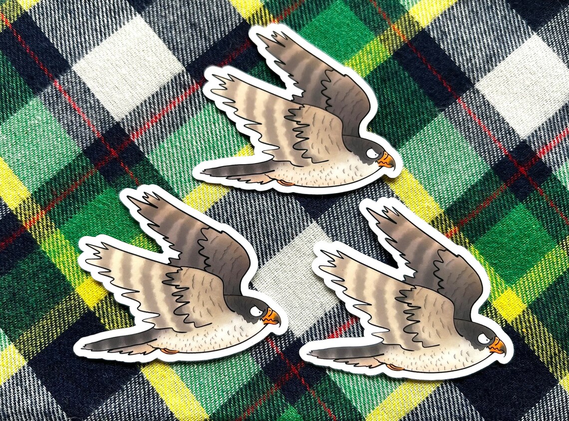 Peregrine Falcon Vinyl Sticker - Cartoon Raptor - Bird of Prey - Etsy