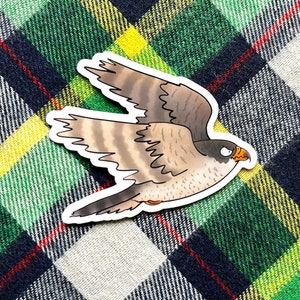 Peregrine Falcon Vinyl Sticker - Cartoon Raptor - Bird of Prey - Etsy