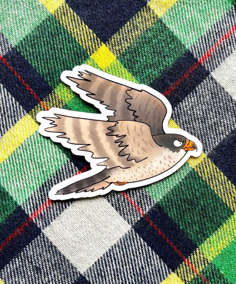 Peregrine Falcon Vinyl Sticker - Cartoon Raptor - Bird of Prey - Etsy