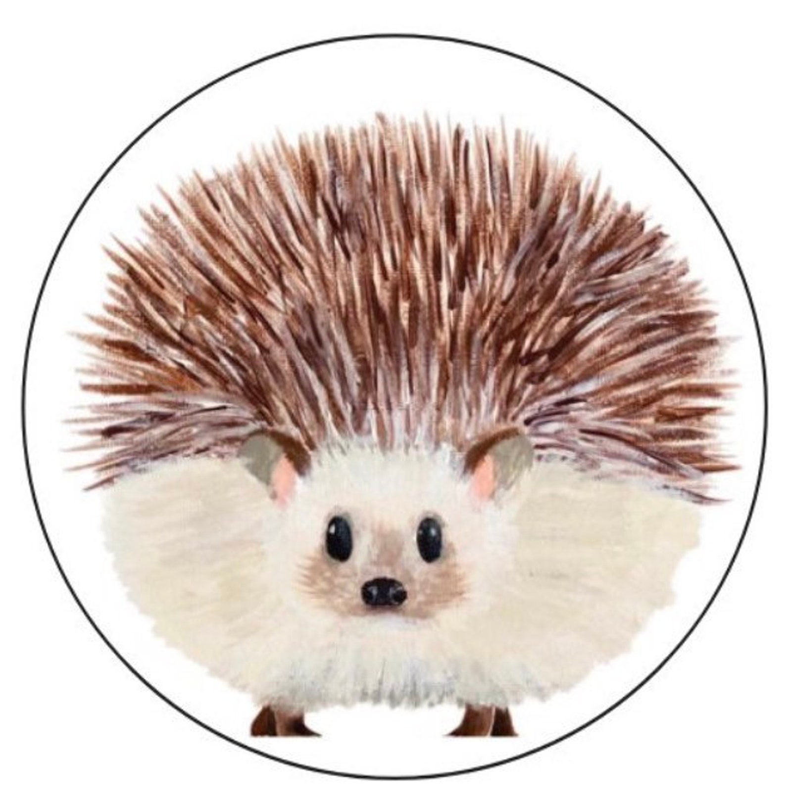 Hedgehog Sticker - Etsy