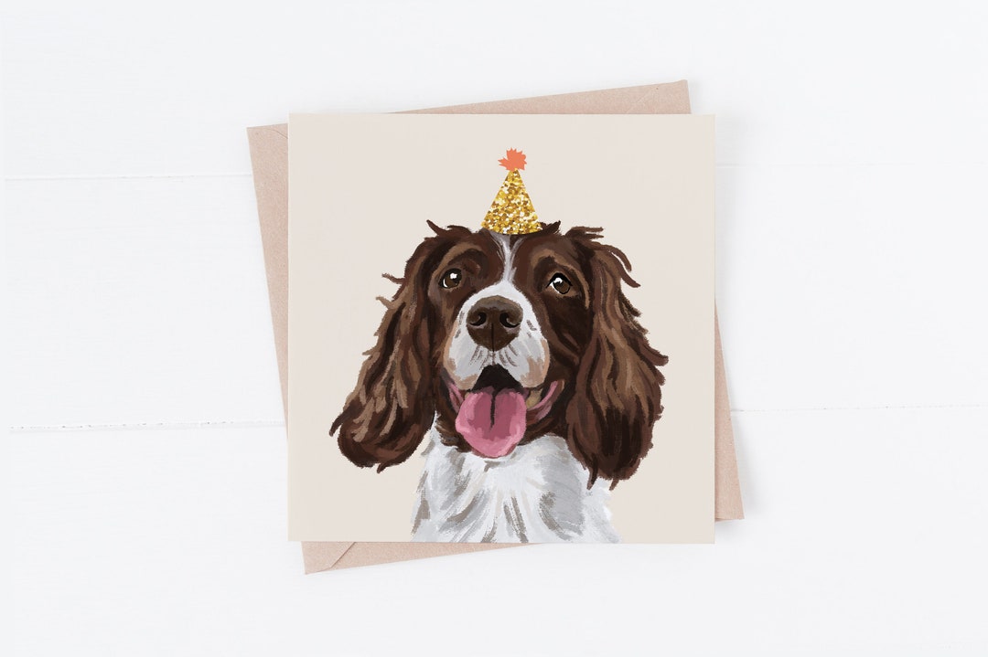 Springer Spaniel Card, Springer Spaniel Birthday Card, Springer Spaniel ...