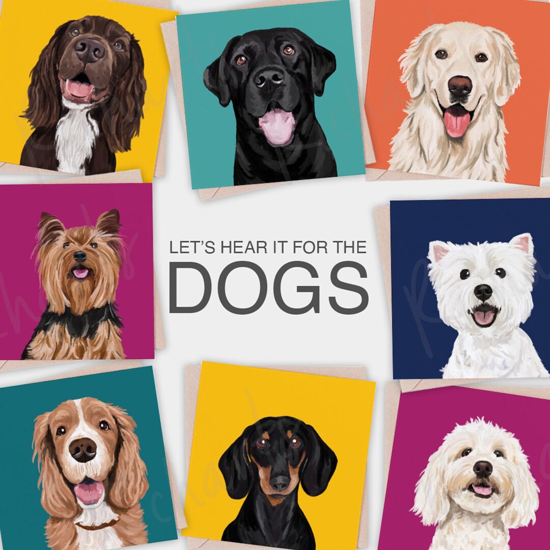 Dog Cards, Fun Dog Cards, Dogs in Glasses Cards, Dogs, Cards, Glasses ...