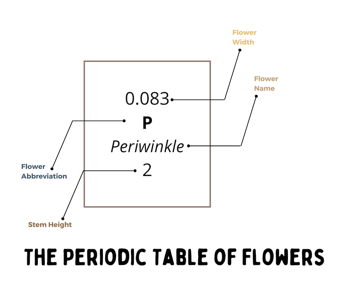 Periodic Table of Flowers Canva Template - Perfect for Chemistry ...