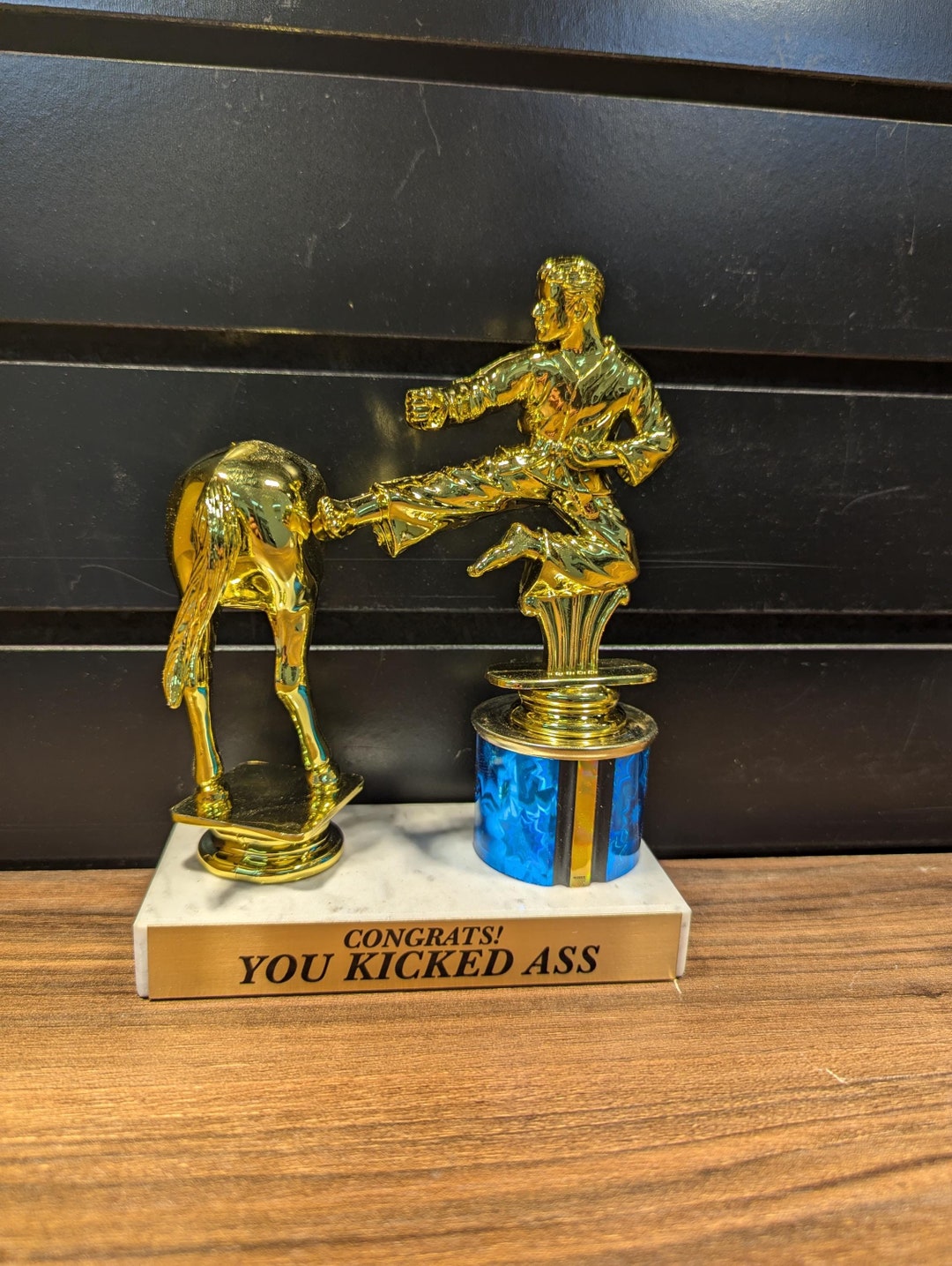 Congrats! You Kicked Ass Trophy Award - Etsy