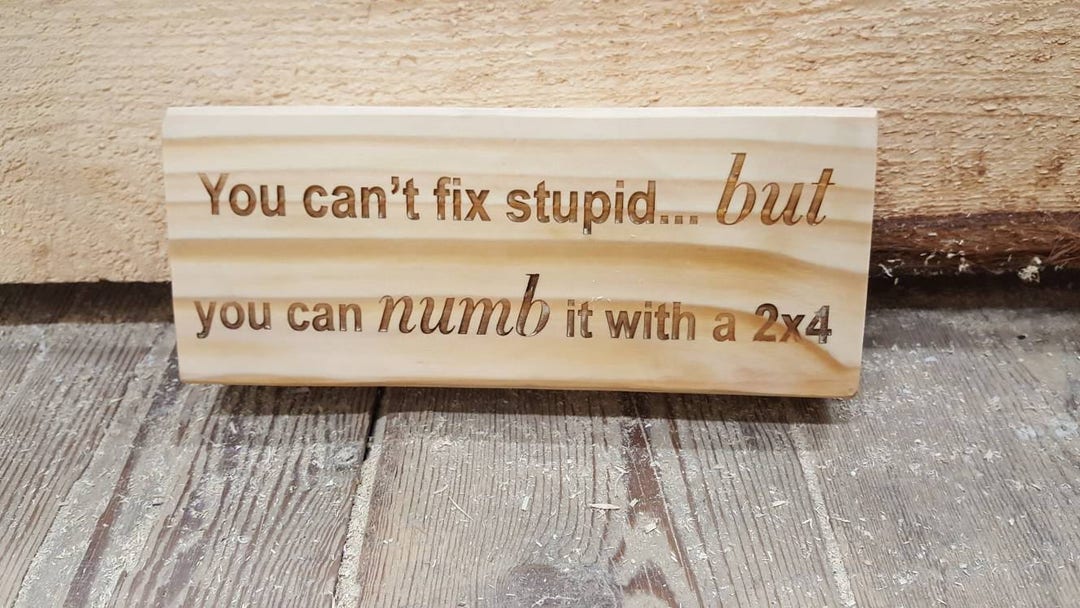Can't Fix Stupid Wood Sign 2x4 FREE SHIPPING - Etsy