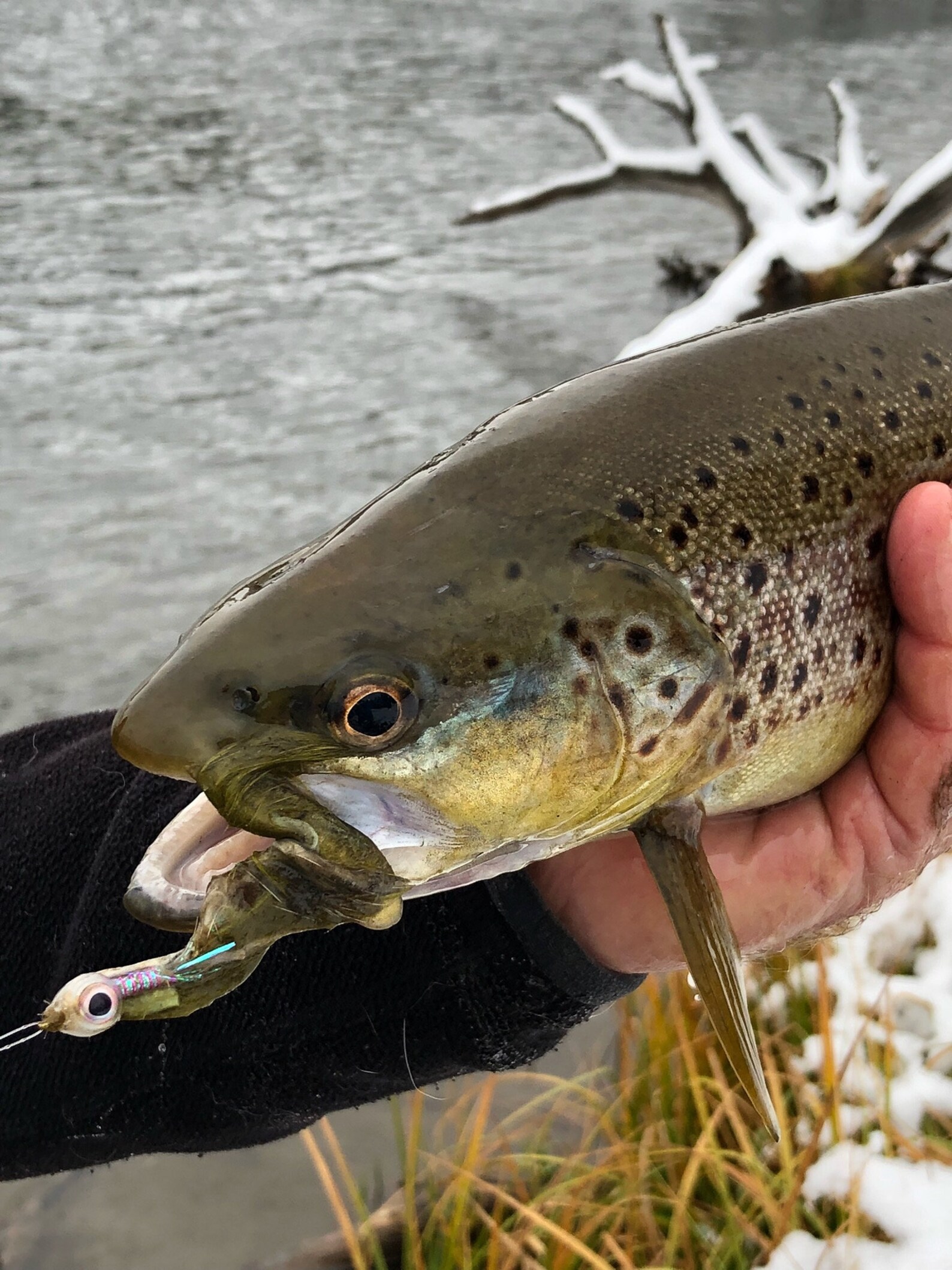 Fly Fishing Flies, Trout Fly, Articulated Streamer Fly, Unarticulated ...