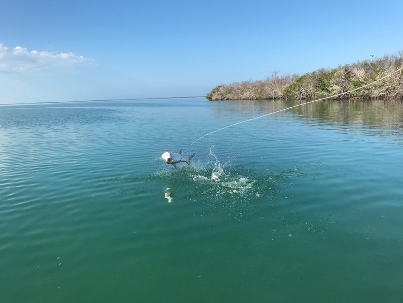 Streamer Flies, Redfish Flies, Steelhead Flies, Saltwater Fly Fishing ...