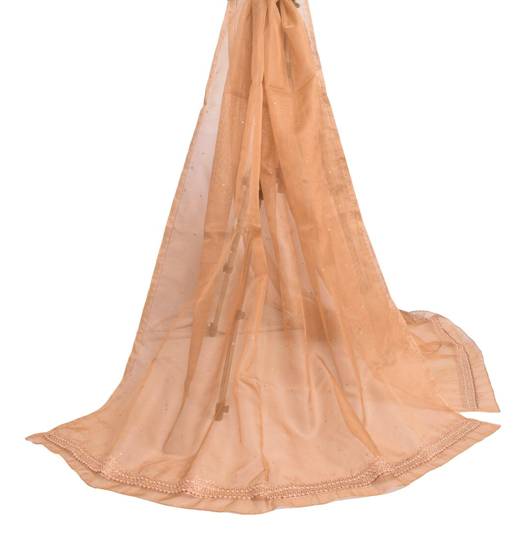 Sushila Vintage Brown Net Mesh Dupatta Hand Beaded Zardozi Classy Long ...