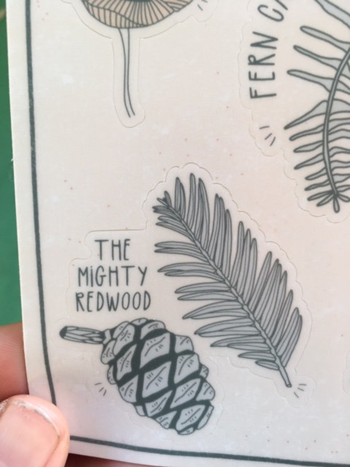 Humboldt Sticker Sheet Vinyl Sticker Illustrated Sticker | Etsy