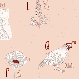 California Alphabet - Illustration - Etsy