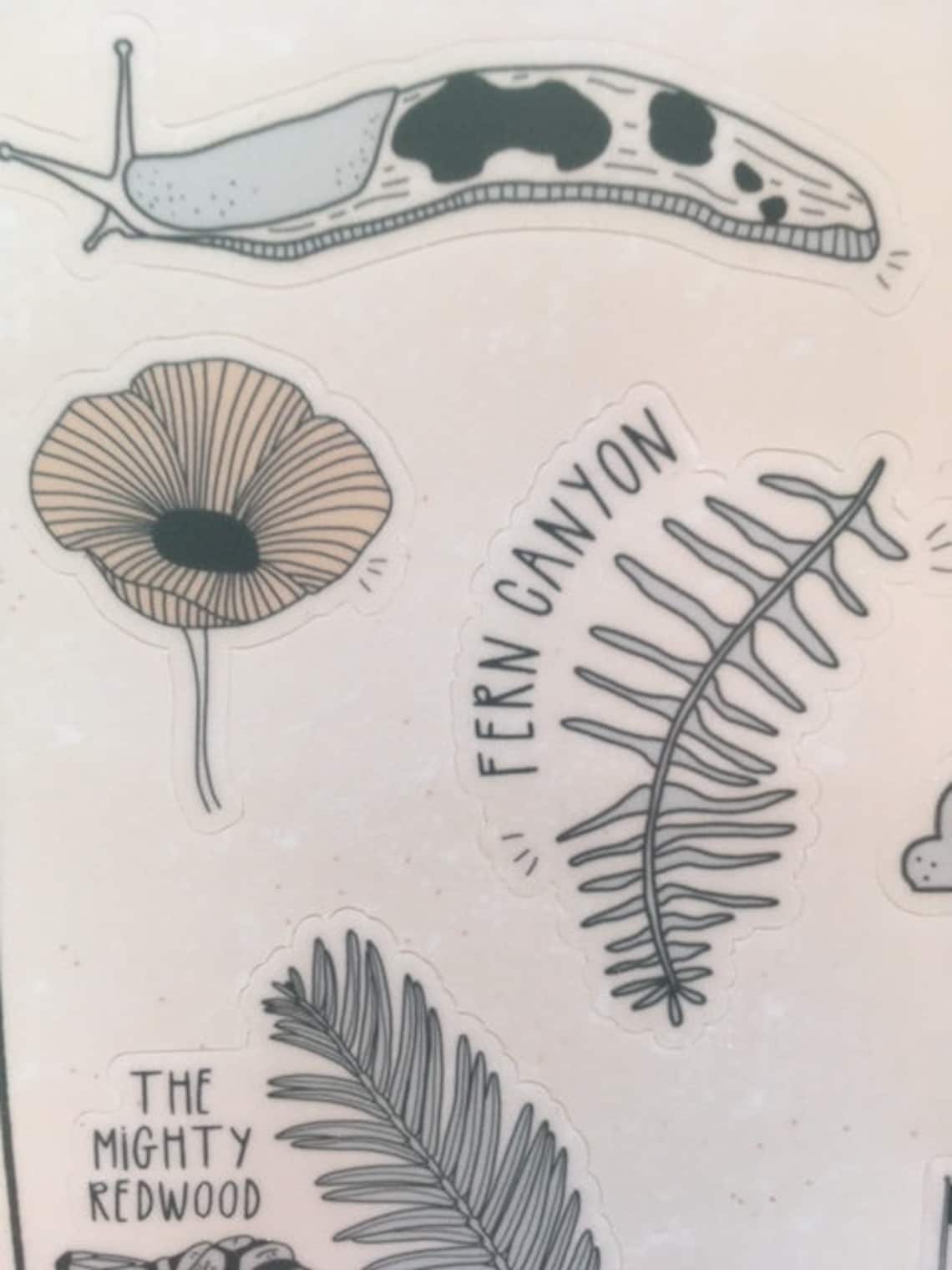 Humboldt Sticker Sheet Vinyl Sticker Illustrated Sticker | Etsy