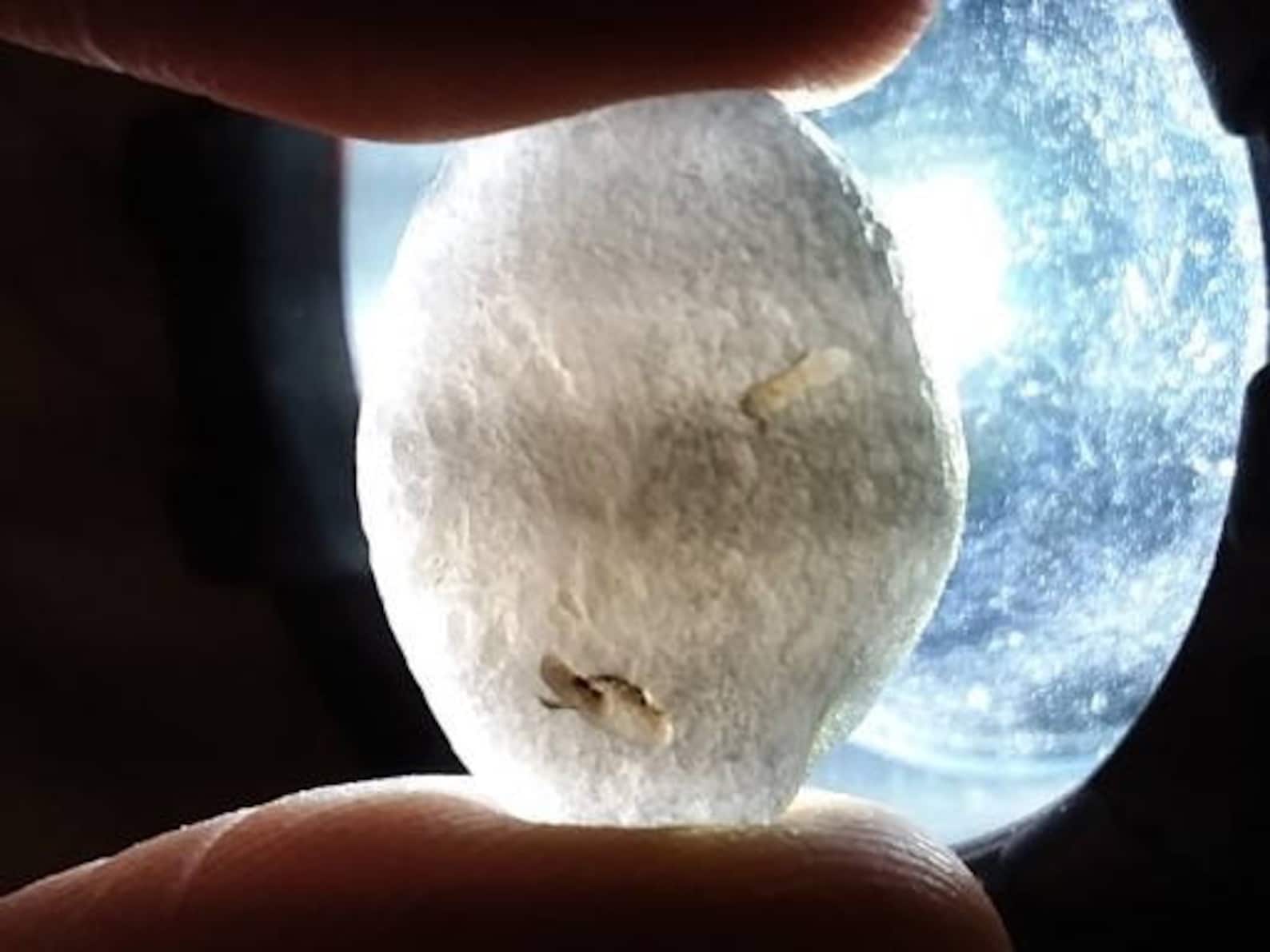 Cintamani Stone 2-3 Grams Gem Quality translucent - Etsy