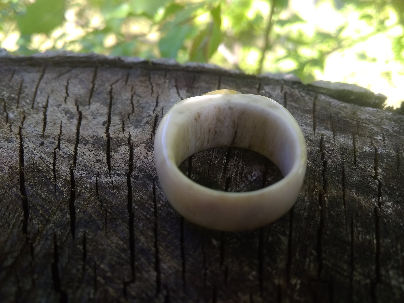 Antler Ring Natural Whitetail Deer Antler Ring Bone Ring - Etsy