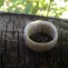 Antler Ring, Natural Whitetail Deer Antler Ring, Bone Ring Size 9 - Etsy