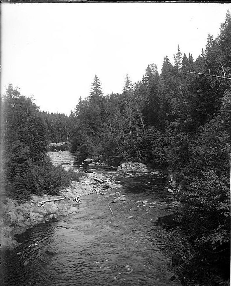 Antique Photos Four 4x5 Inch B&W Photo Glass Negatives - Etsy
