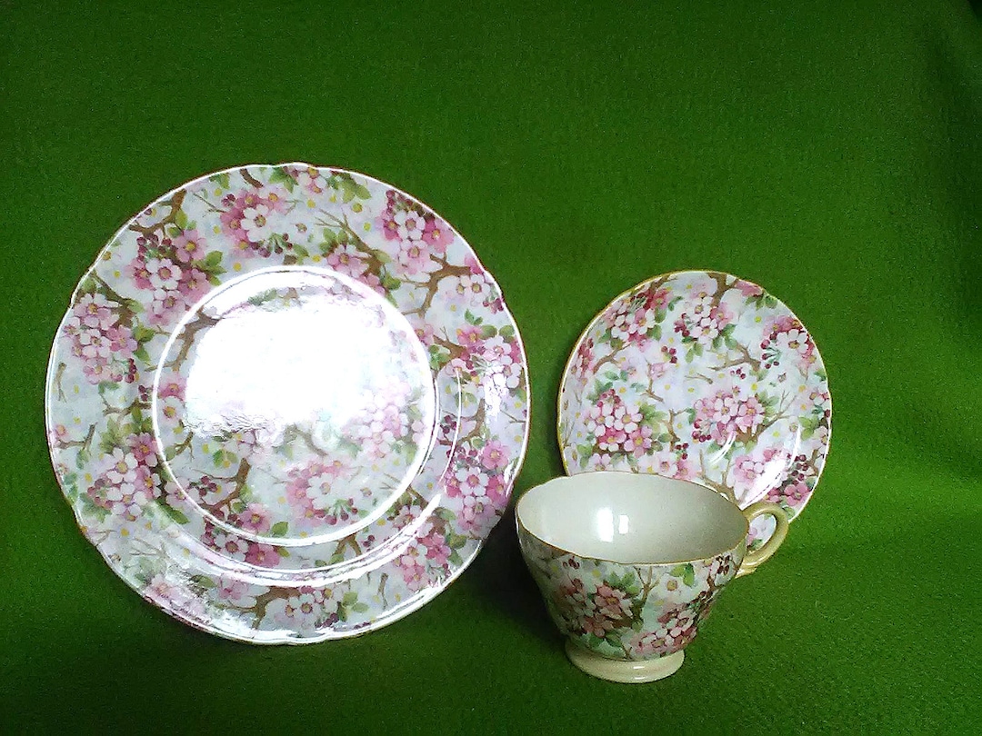 Vintage Shelley Cup, Saucer and Plate, Henley Shape, Maytime Pattern ...