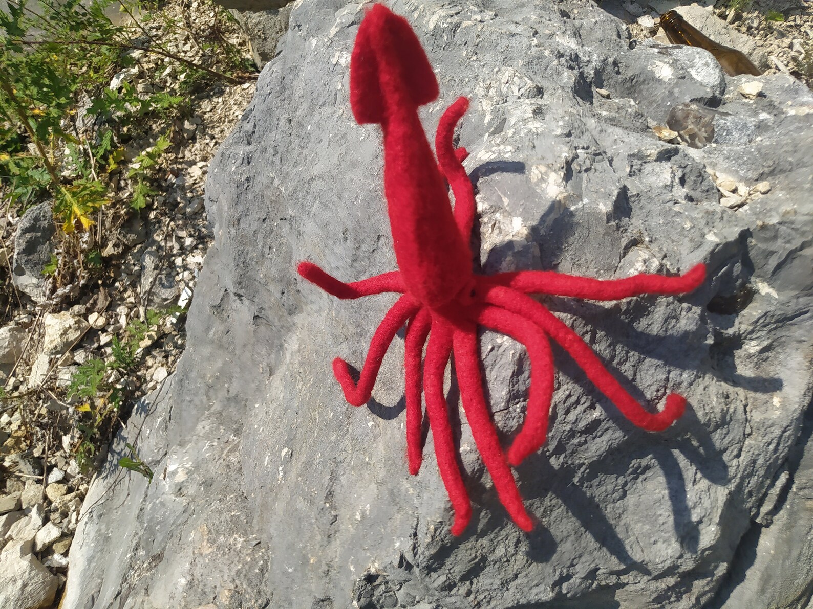 Squid Sculpture, Needle Felted Squid, Wool Ocean Animal - Etsy