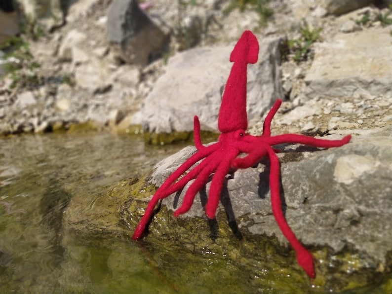 Squid Sculpture, Needle Felted Squid, Wool Ocean Animal - Etsy