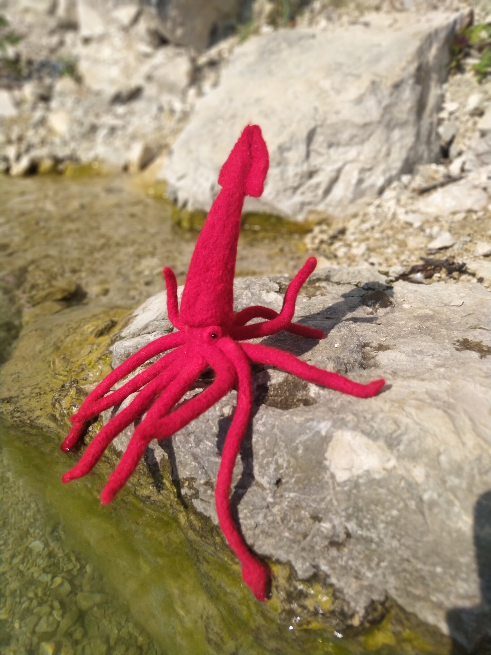 Squid Sculpture, Needle Felted Squid, Wool Ocean Animal - Etsy