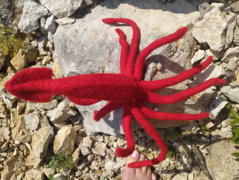 Squid Sculpture, Needle Felted Squid, Wool Ocean Animal - Etsy