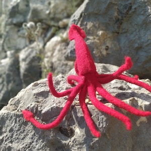 Squid Sculpture, Needle Felted Squid, Wool Ocean Animal - Etsy