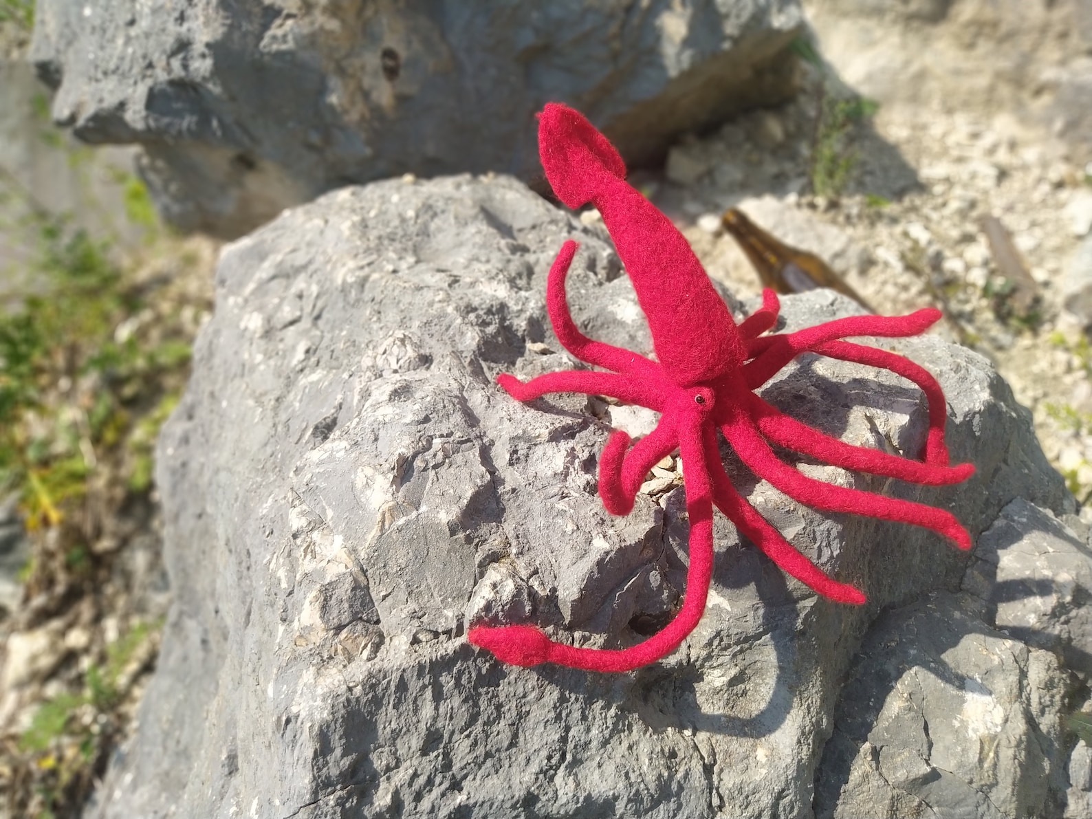 Squid Sculpture, Needle Felted Squid, Wool Ocean Animal - Etsy